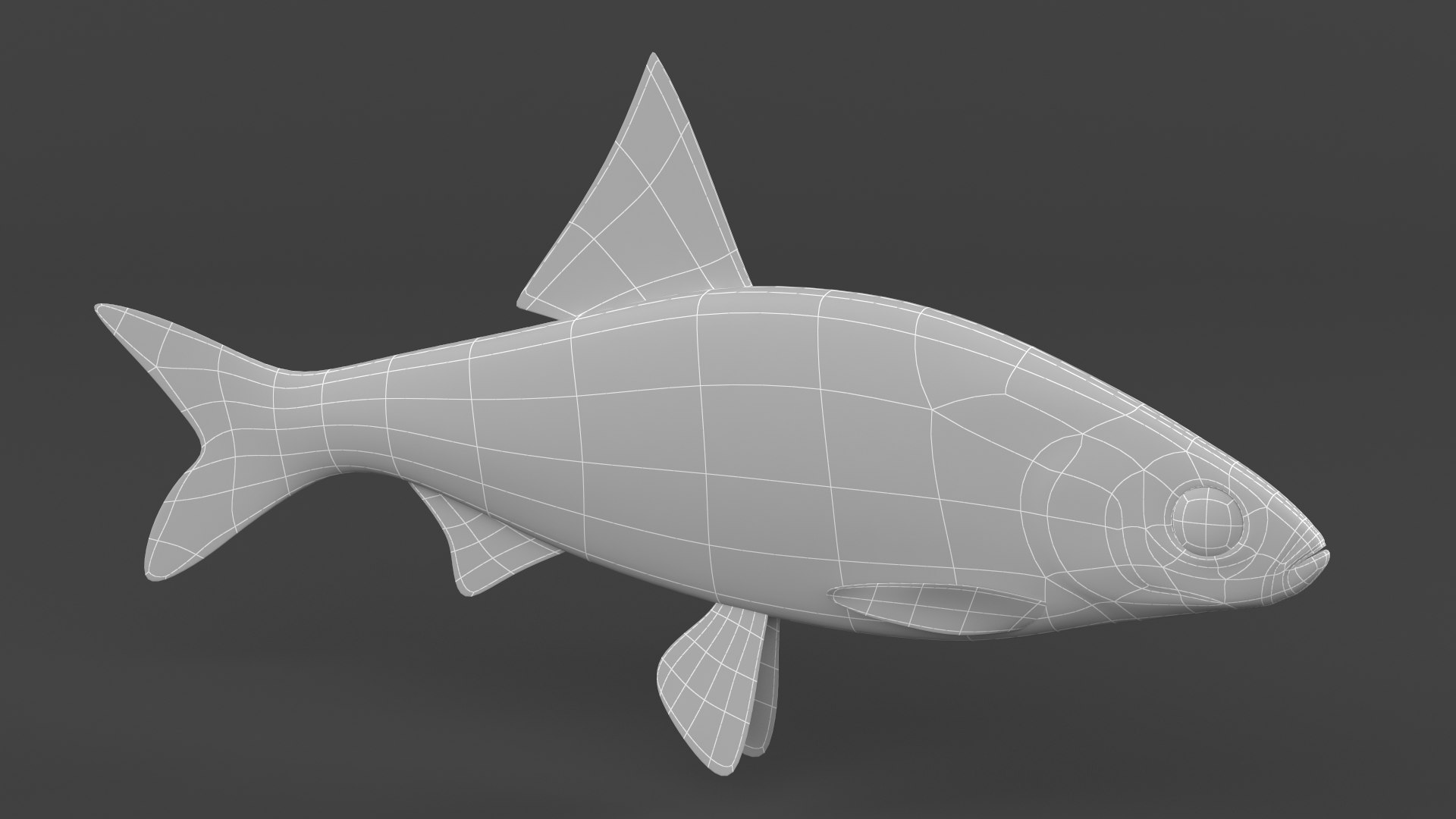 Freshwater Fish 3D - TurboSquid 2007446