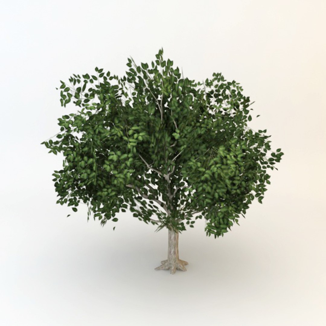 3ds Max Tree 7