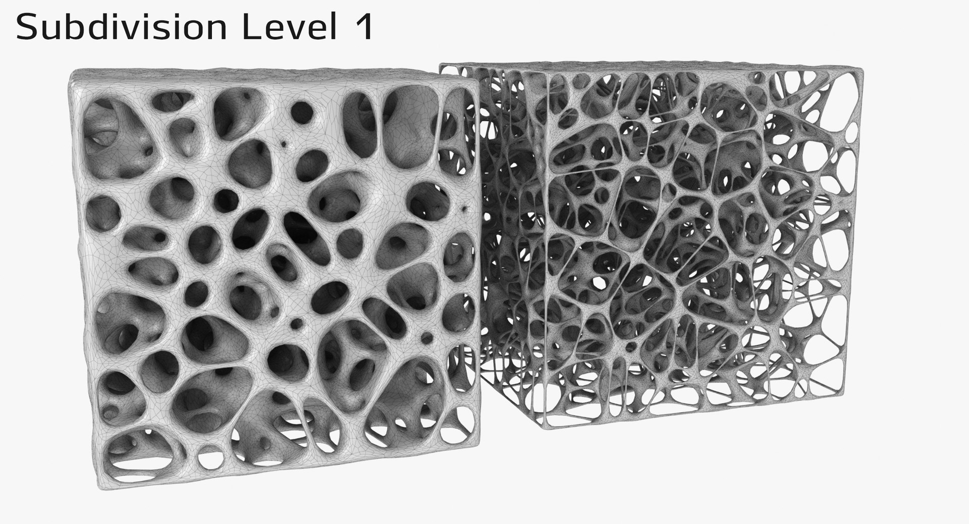 3D Cube Bone Matrix - TurboSquid 1913558