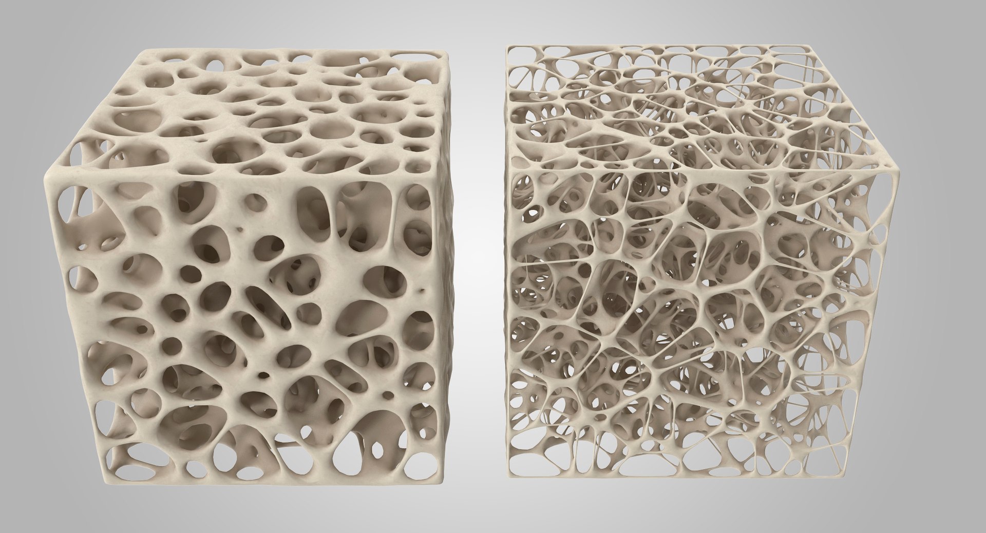 3D Cube Bone Matrix - TurboSquid 1913558