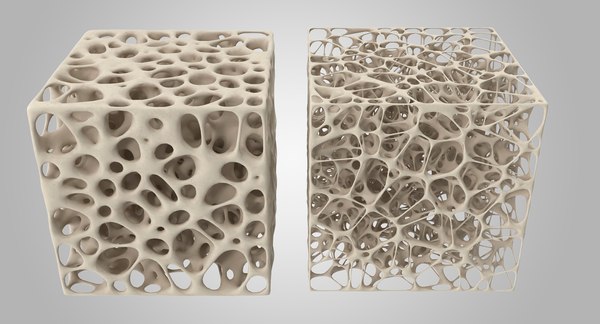 3D Cube Bone Matrix - TurboSquid 1913558