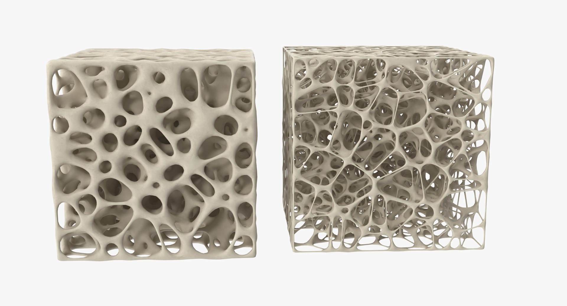 3D Cube Bone Matrix - TurboSquid 1913558