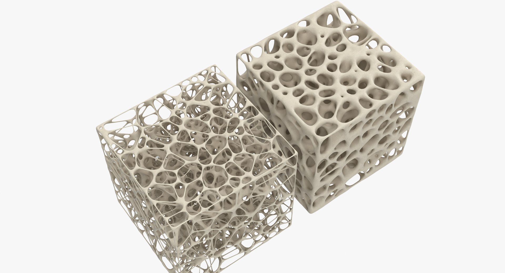3D Cube Bone Matrix - TurboSquid 1913558