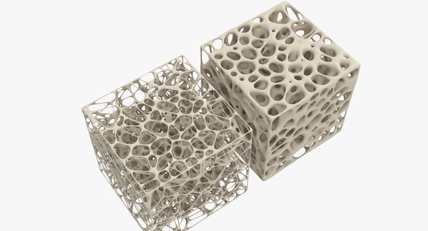 3D Cube Bone Matrix - TurboSquid 1913558