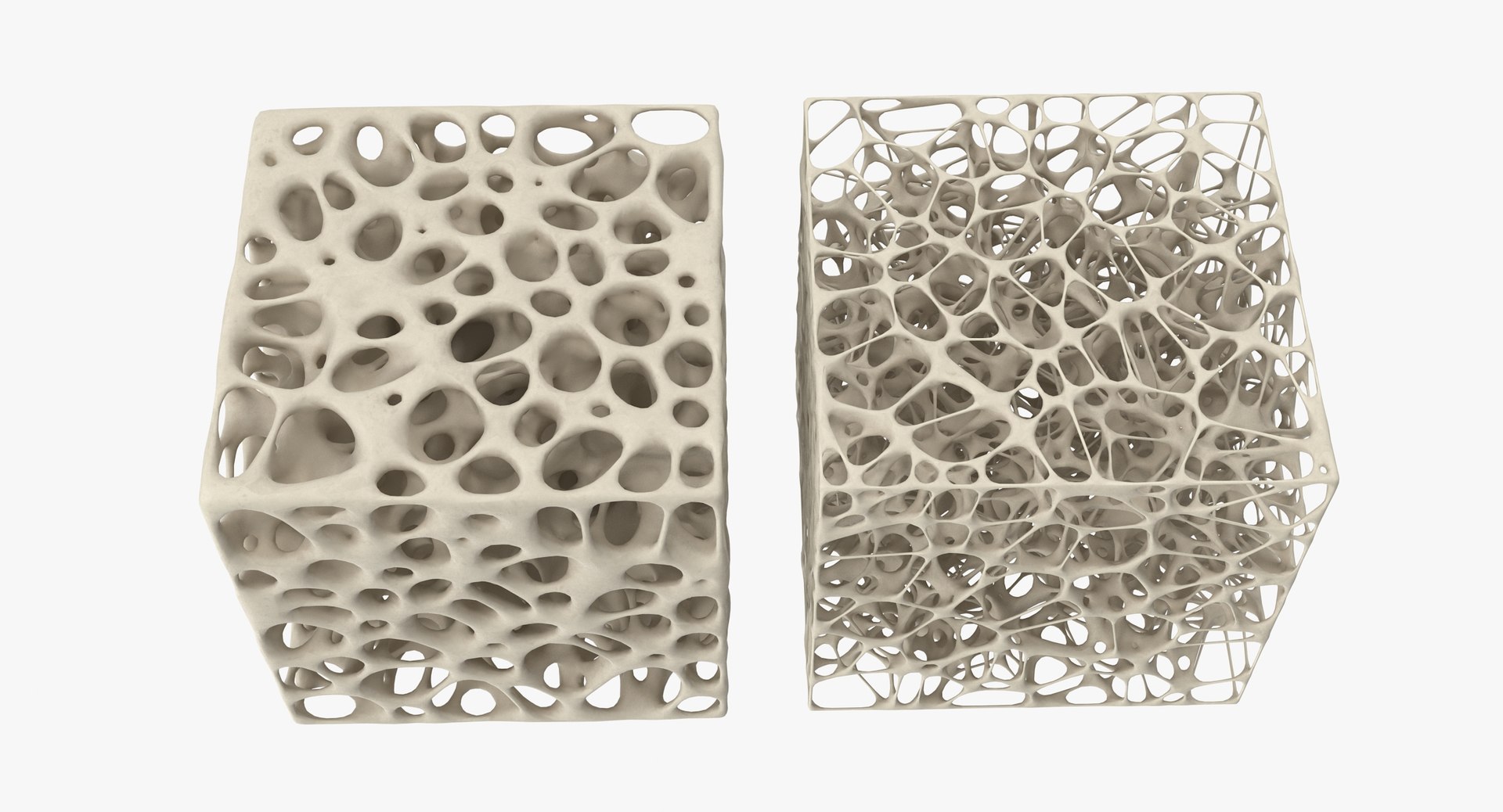 3D Cube Bone Matrix - TurboSquid 1913558