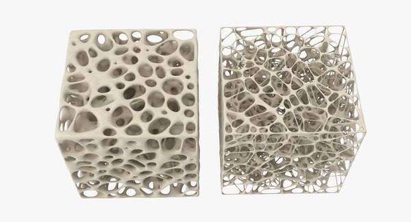 3D Cube Bone Matrix - TurboSquid 1913558