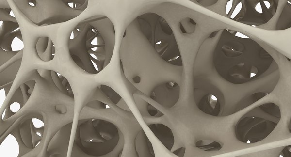 modelo 3d Cube Bone Matrix - TurboSquid 1913558