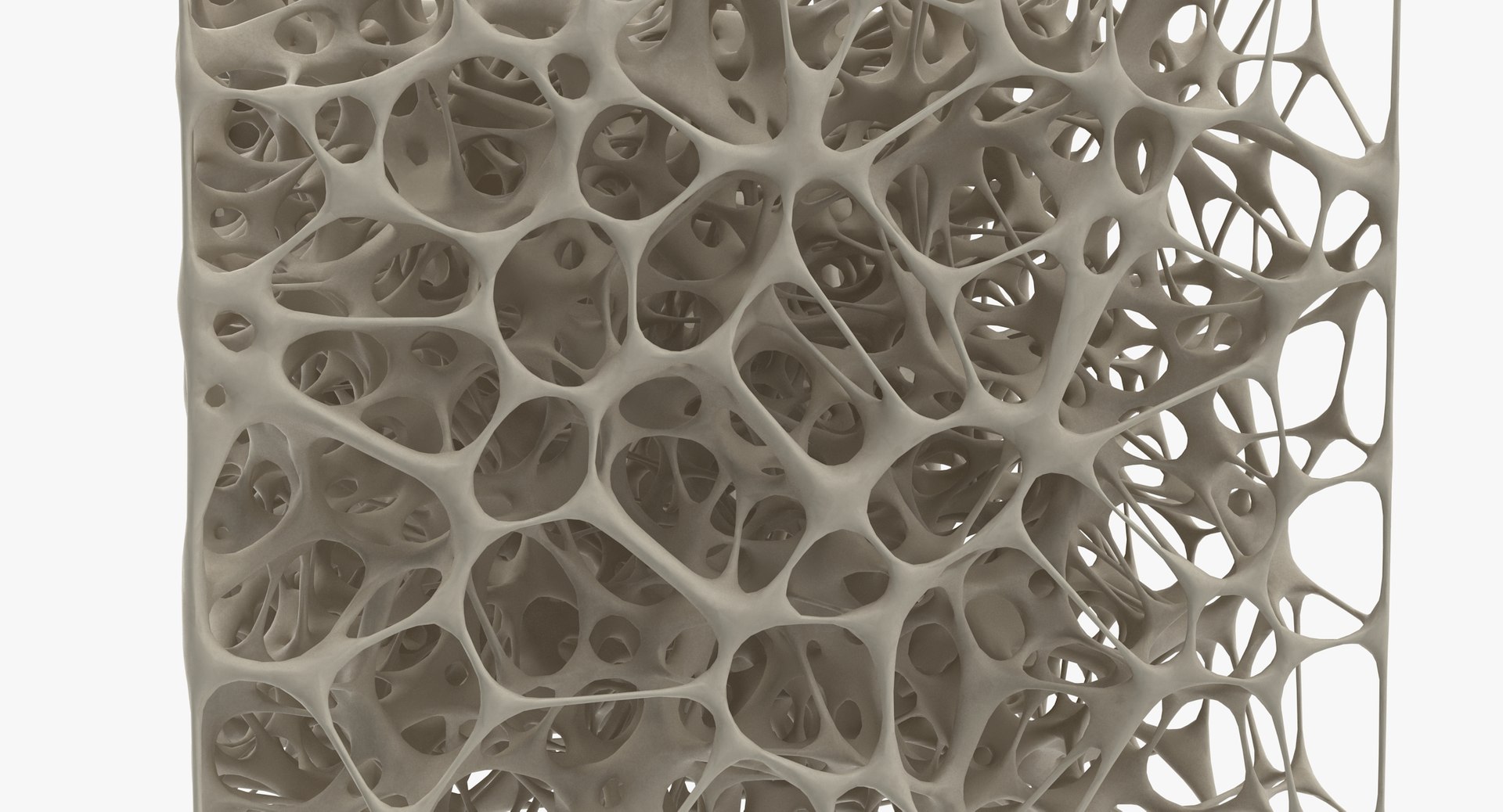 3D Cube Bone Matrix - TurboSquid 1913558