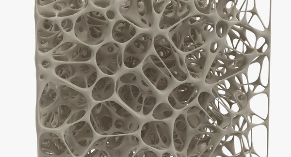 3D Cube Bone Matrix - TurboSquid 1913558