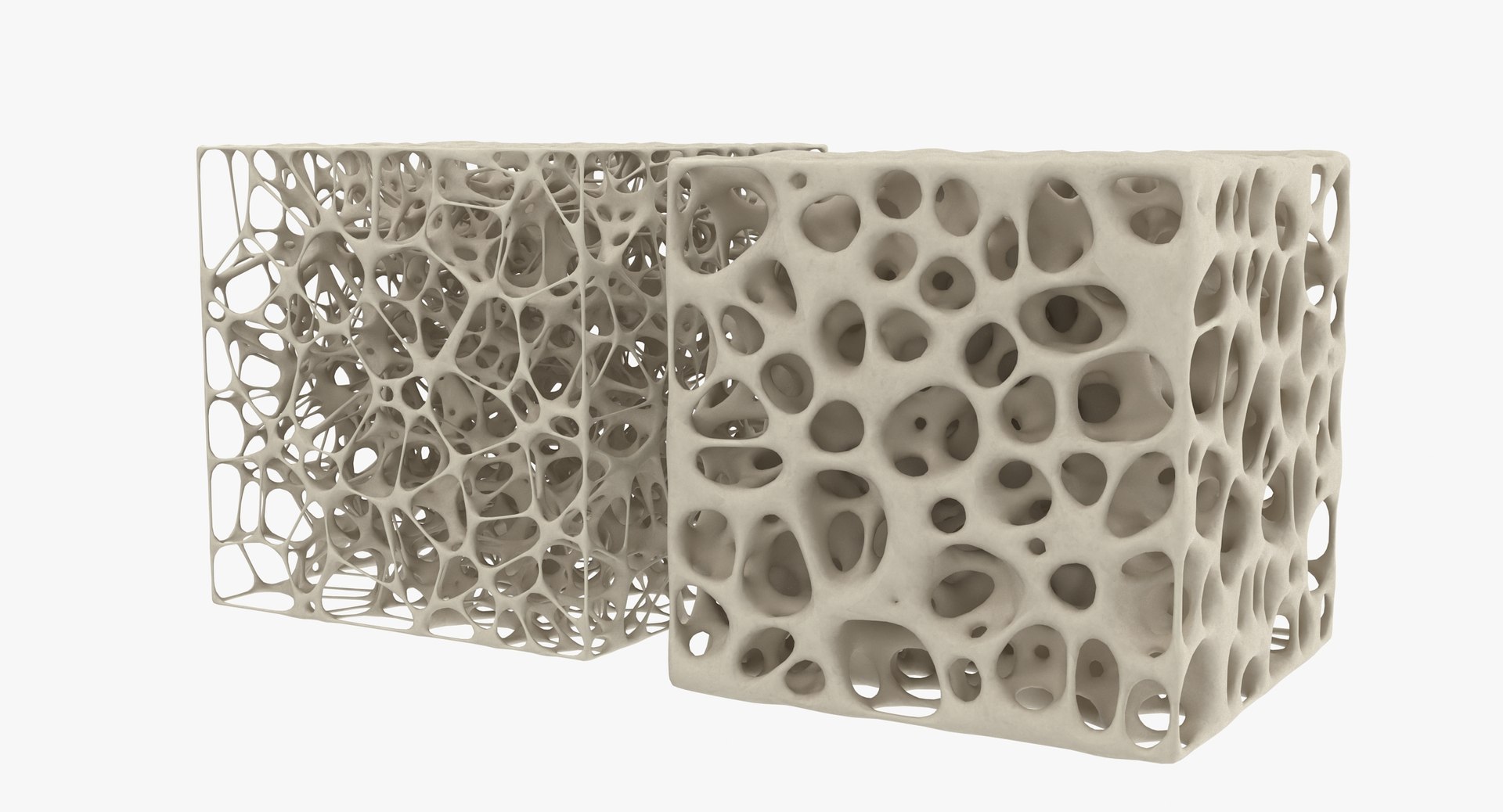 3D Cube Bone Matrix - TurboSquid 1913558