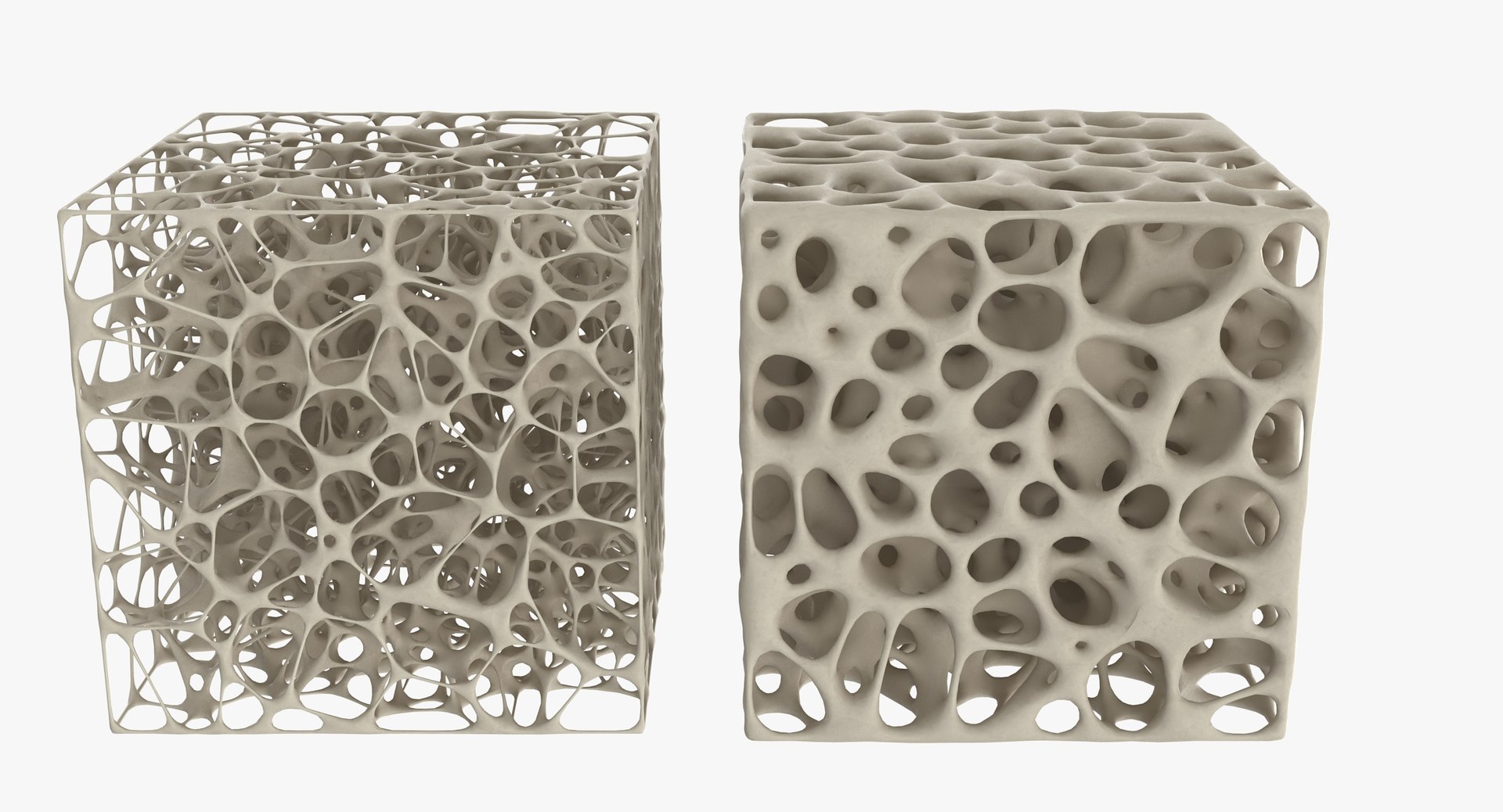 3D Cube Bone Matrix - TurboSquid 1913558