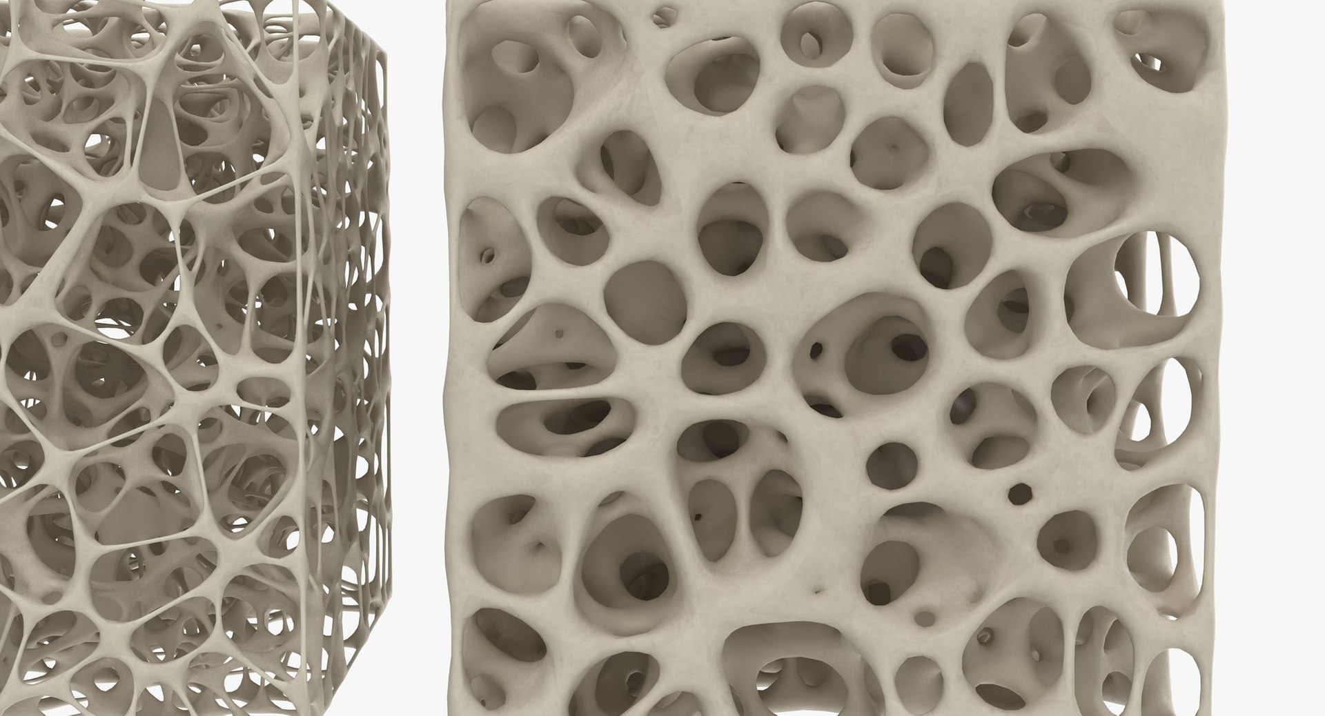 3D Cube Bone Matrix - TurboSquid 1913558