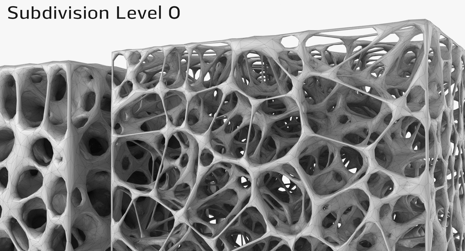 3D Cube Bone Matrix - TurboSquid 1913558