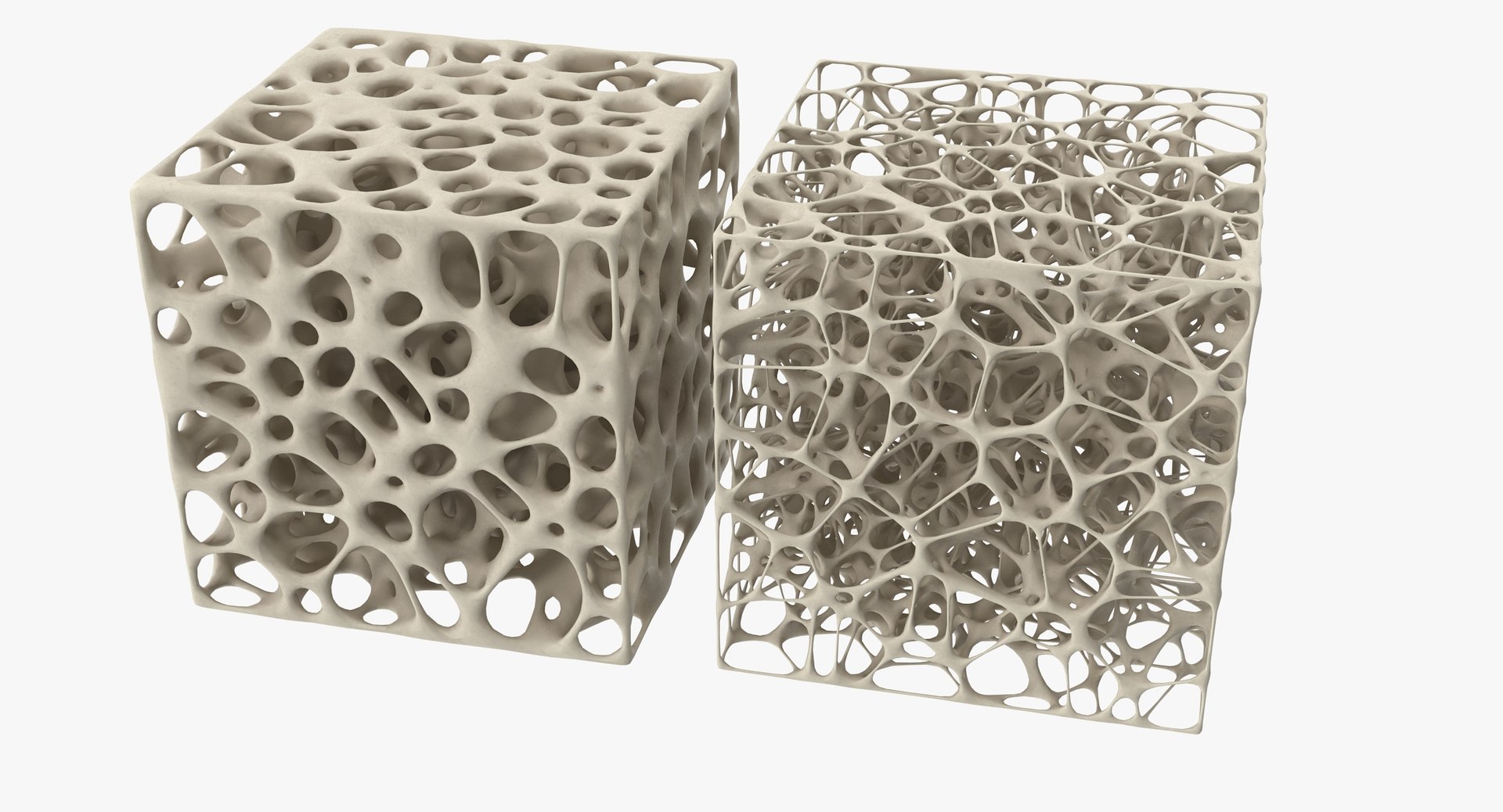 3D Cube Bone Matrix - TurboSquid 1913558