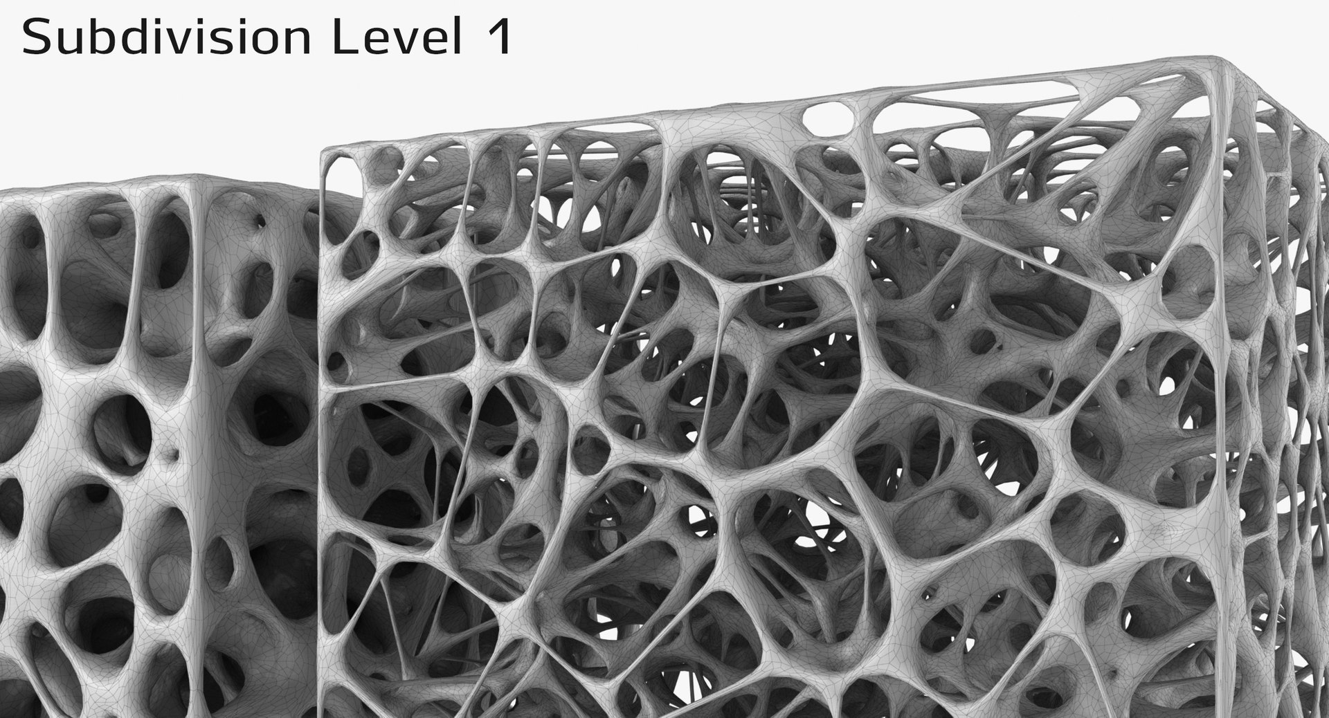 3D Cube Bone Matrix - TurboSquid 1913558