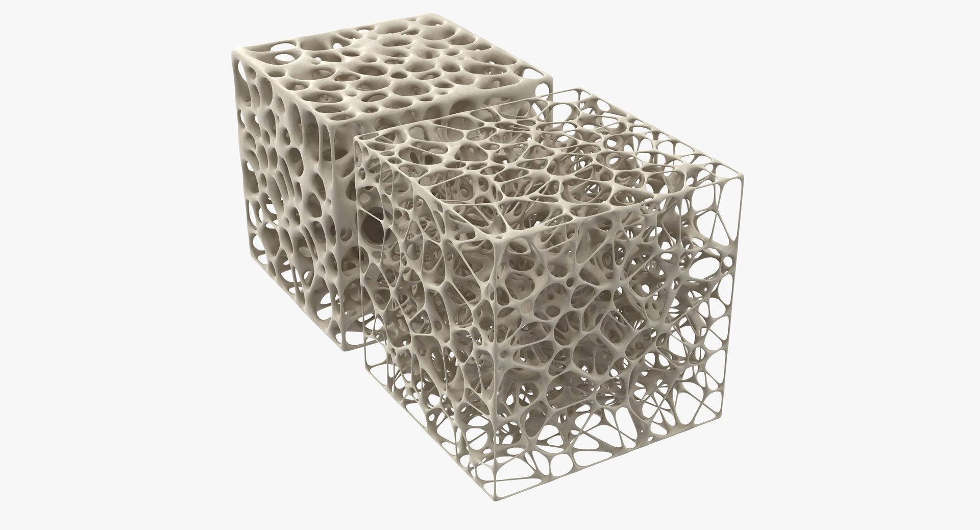 3D Cube Bone Matrix - TurboSquid 1913558