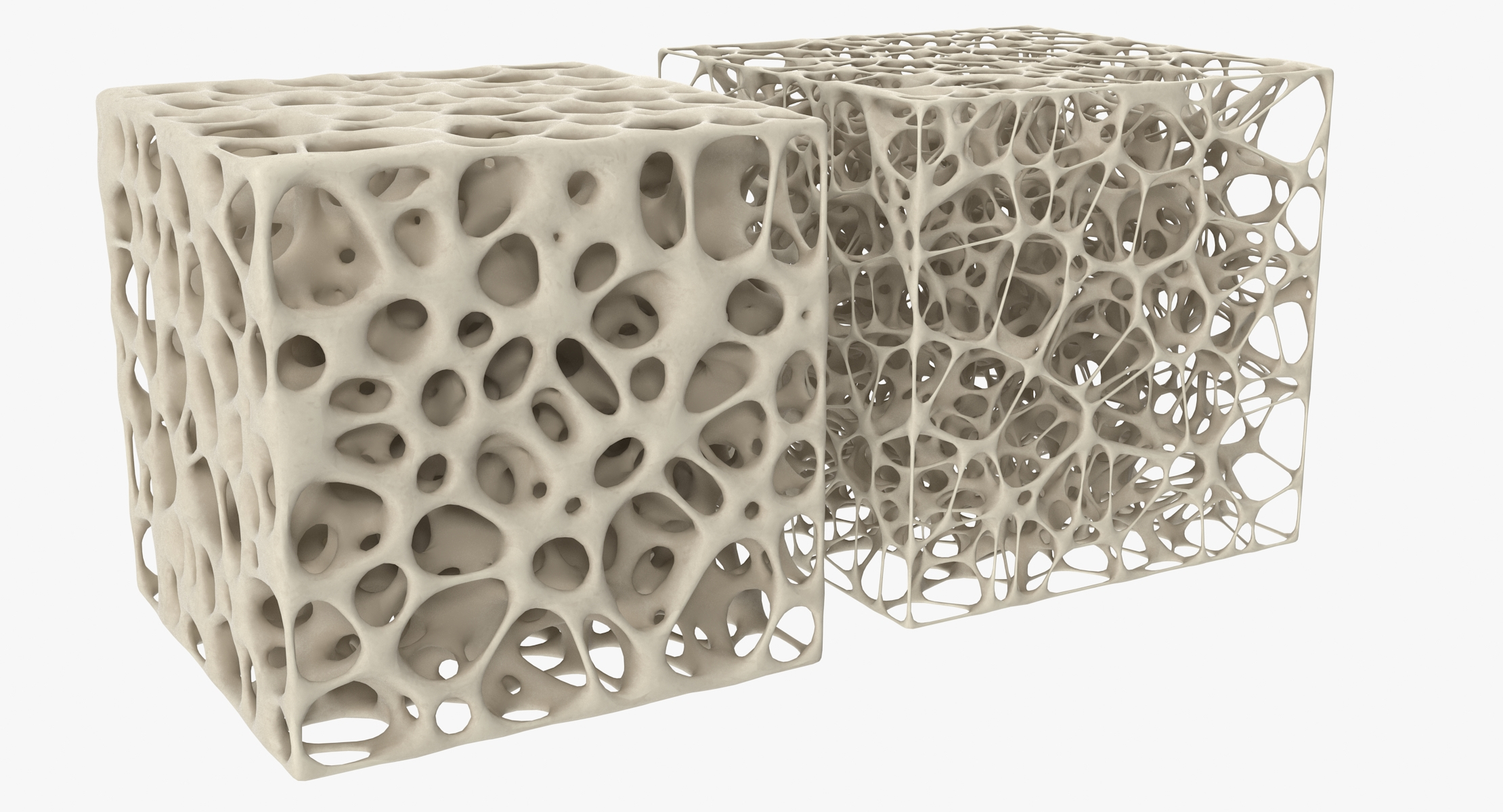 3D Cube Bone Matrix - TurboSquid 1913558