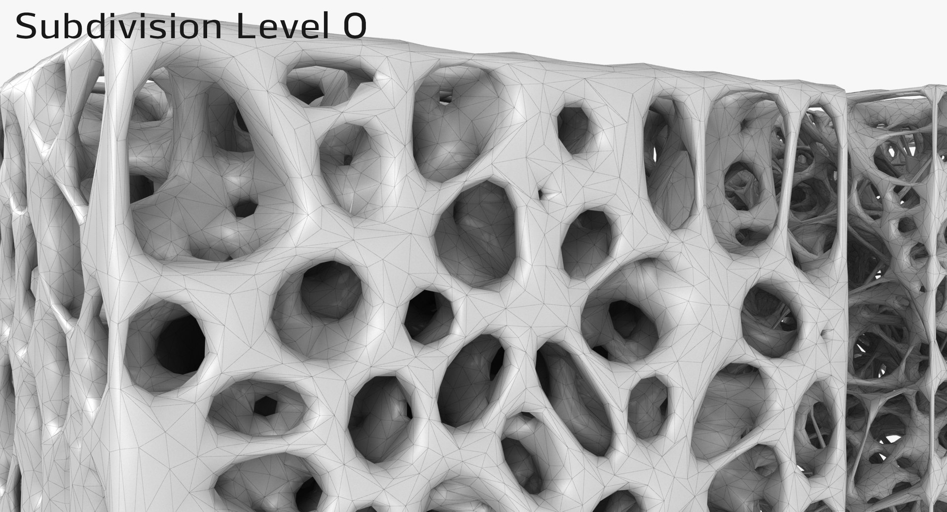 3D Cube Bone Matrix - TurboSquid 1913558