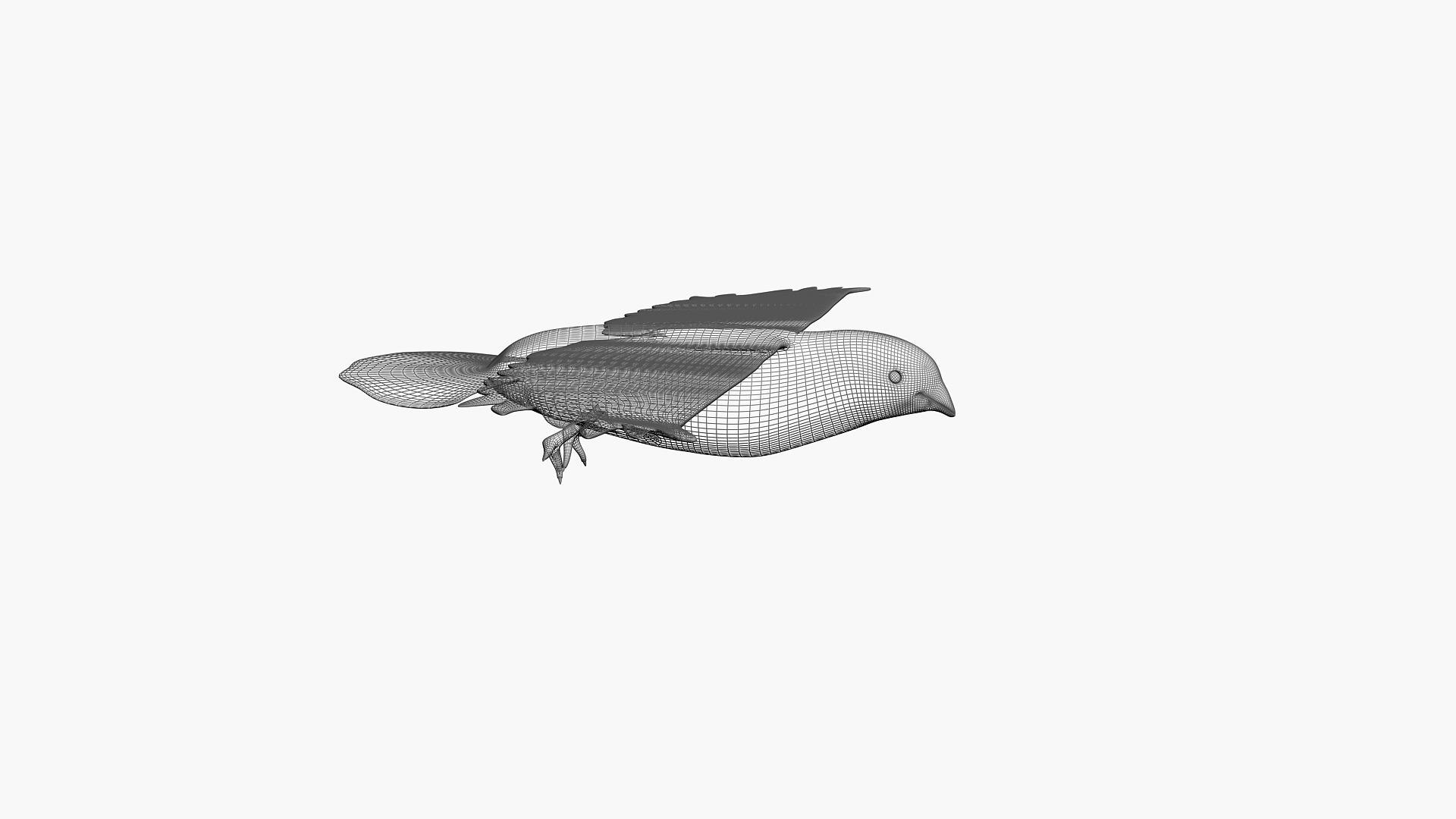 Dove 3D Model - TurboSquid 2270441