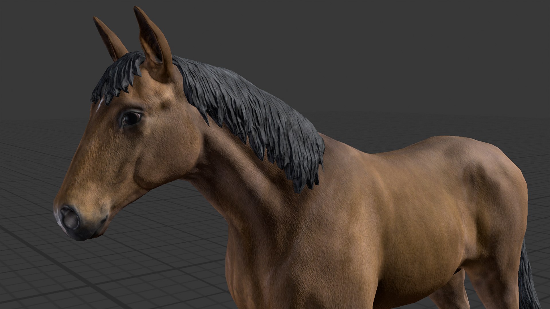 3D Horse Model - TurboSquid 1938854