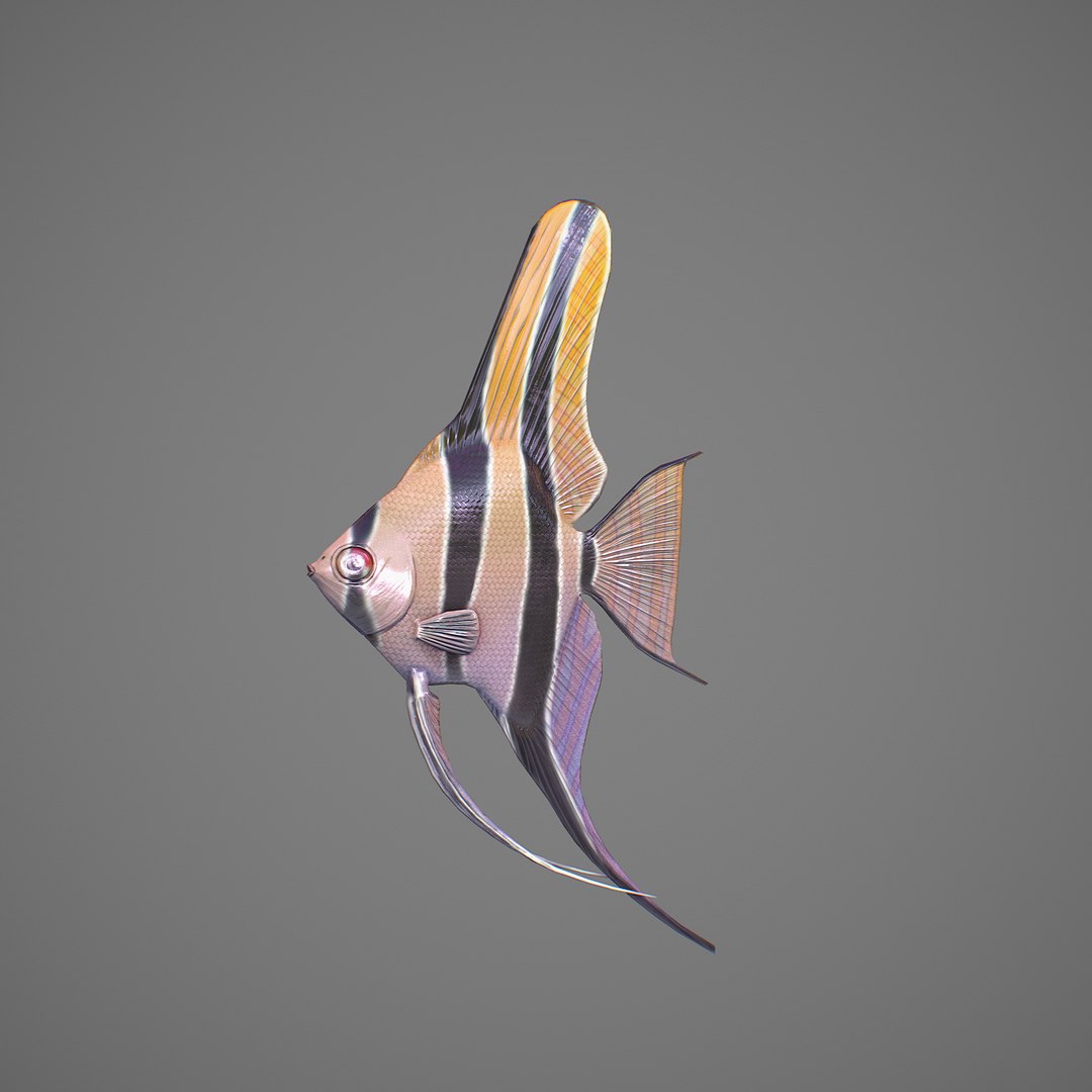Scalar fish 3D - TurboSquid 1724435