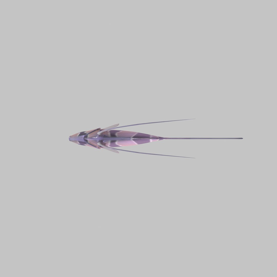 Scalar fish 3D - TurboSquid 1724435