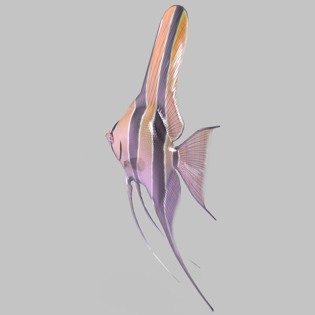 Scalar fish 3D - TurboSquid 1724435