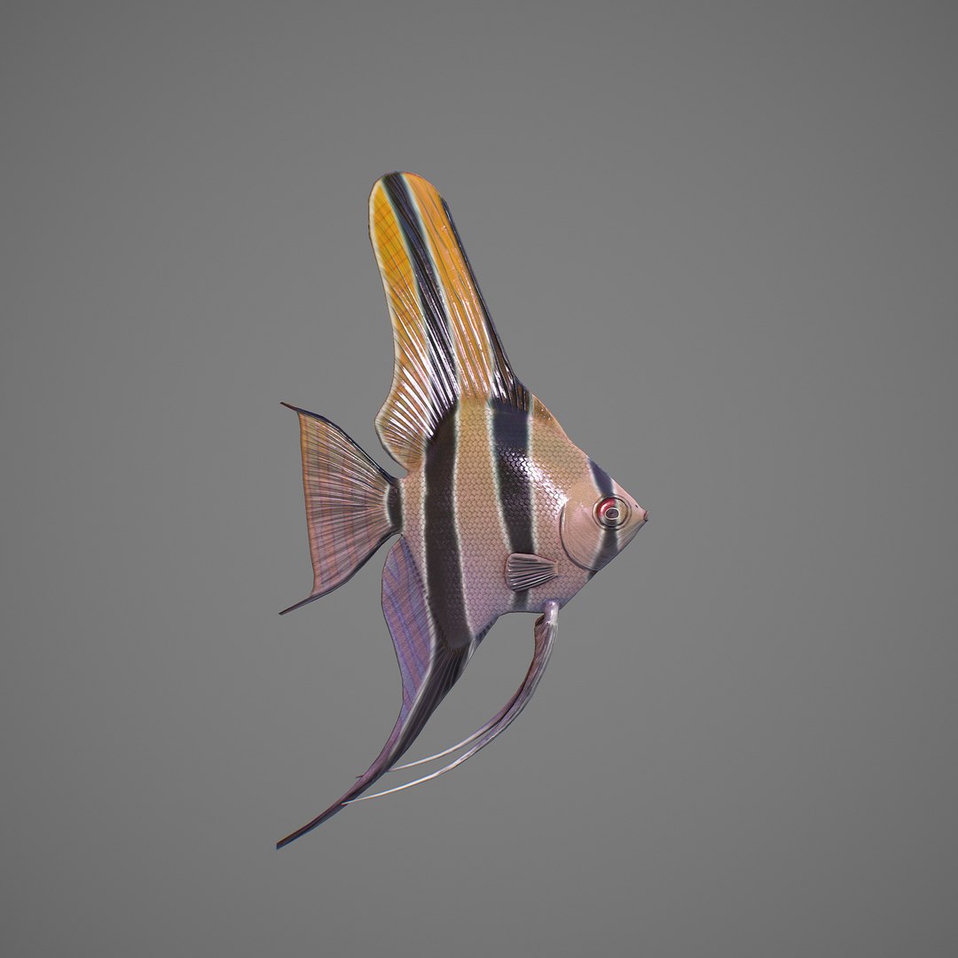Scalar fish 3D - TurboSquid 1724435