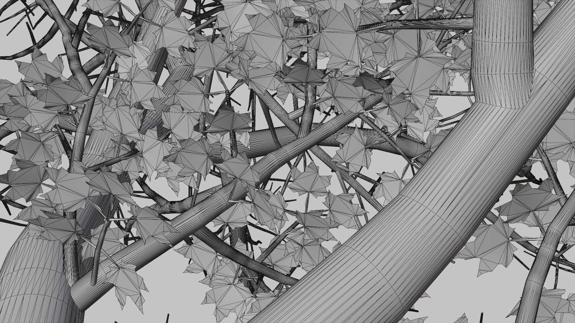 3D model maple tree fall colours - TurboSquid 1594316