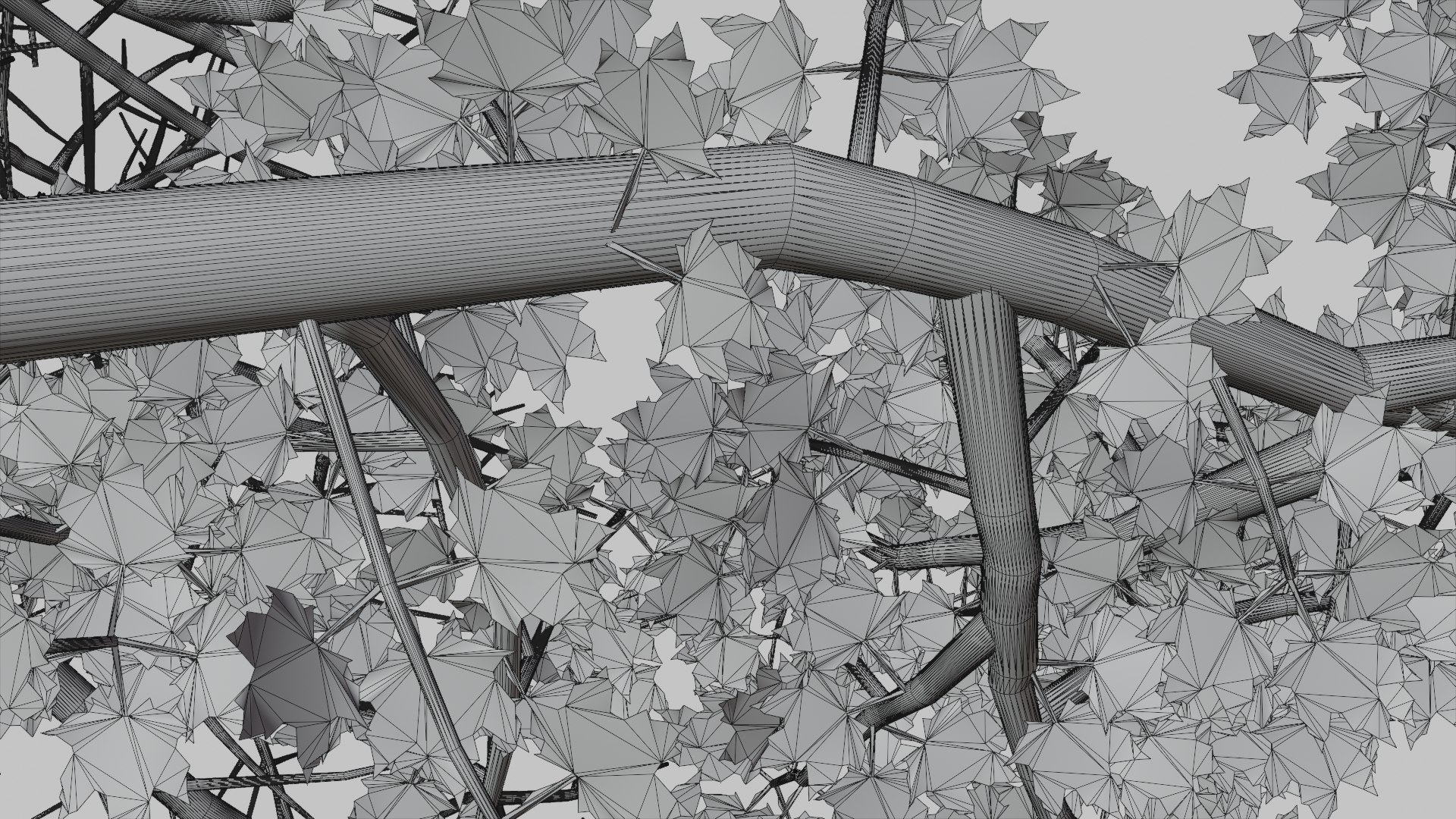 3D model maple tree fall colours - TurboSquid 1594316