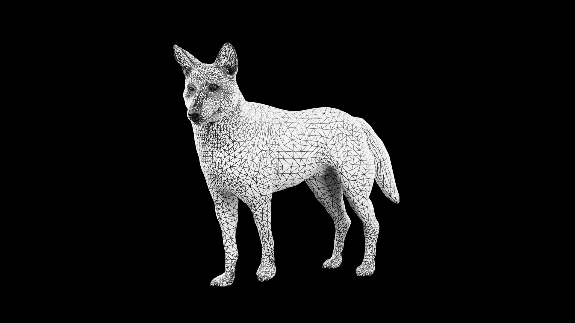 Wolves Basic Rigged 3D Model Model - TurboSquid 2267340