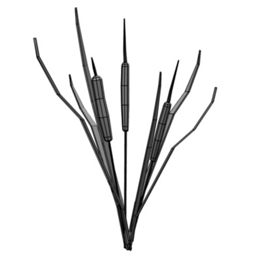 Reed Mace 3d Model