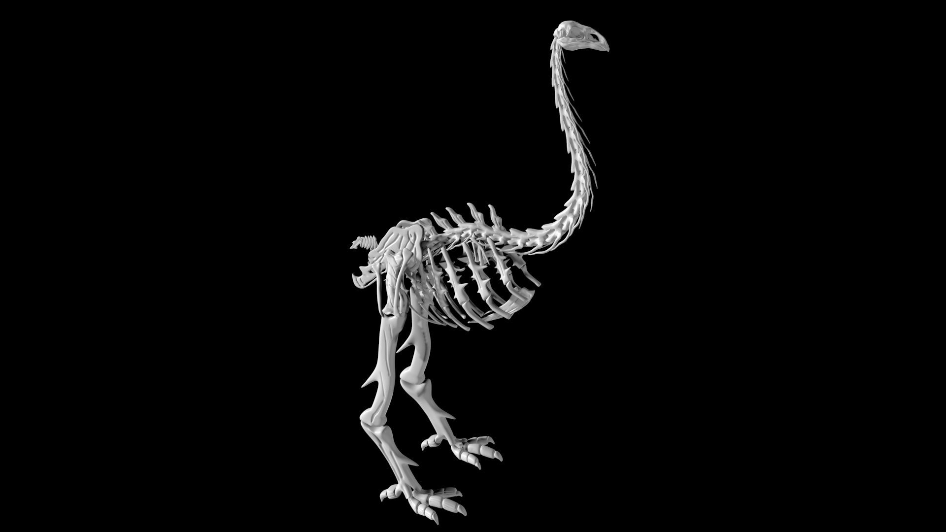 3D Model Moa Skeleton - TurboSquid 1885067