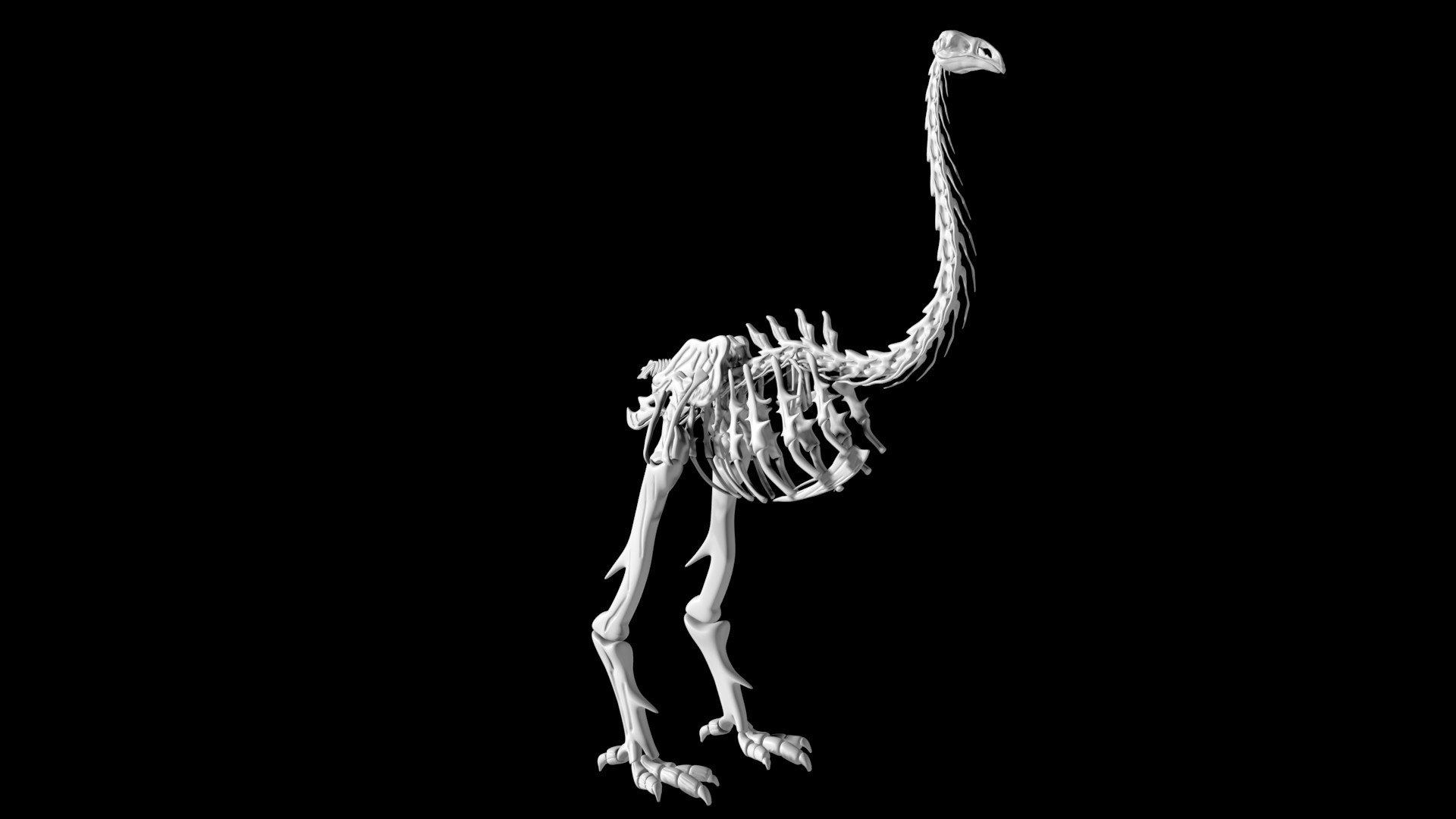 3D Model Moa Skeleton - TurboSquid 1885067