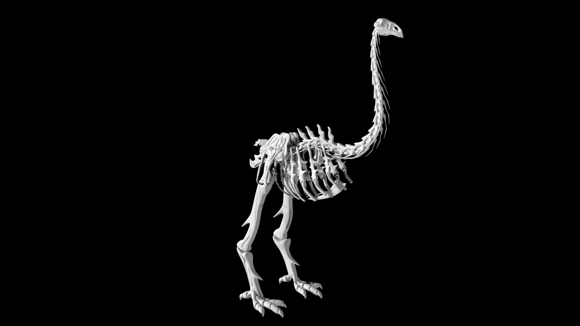 3D Model Moa Skeleton - TurboSquid 1885067