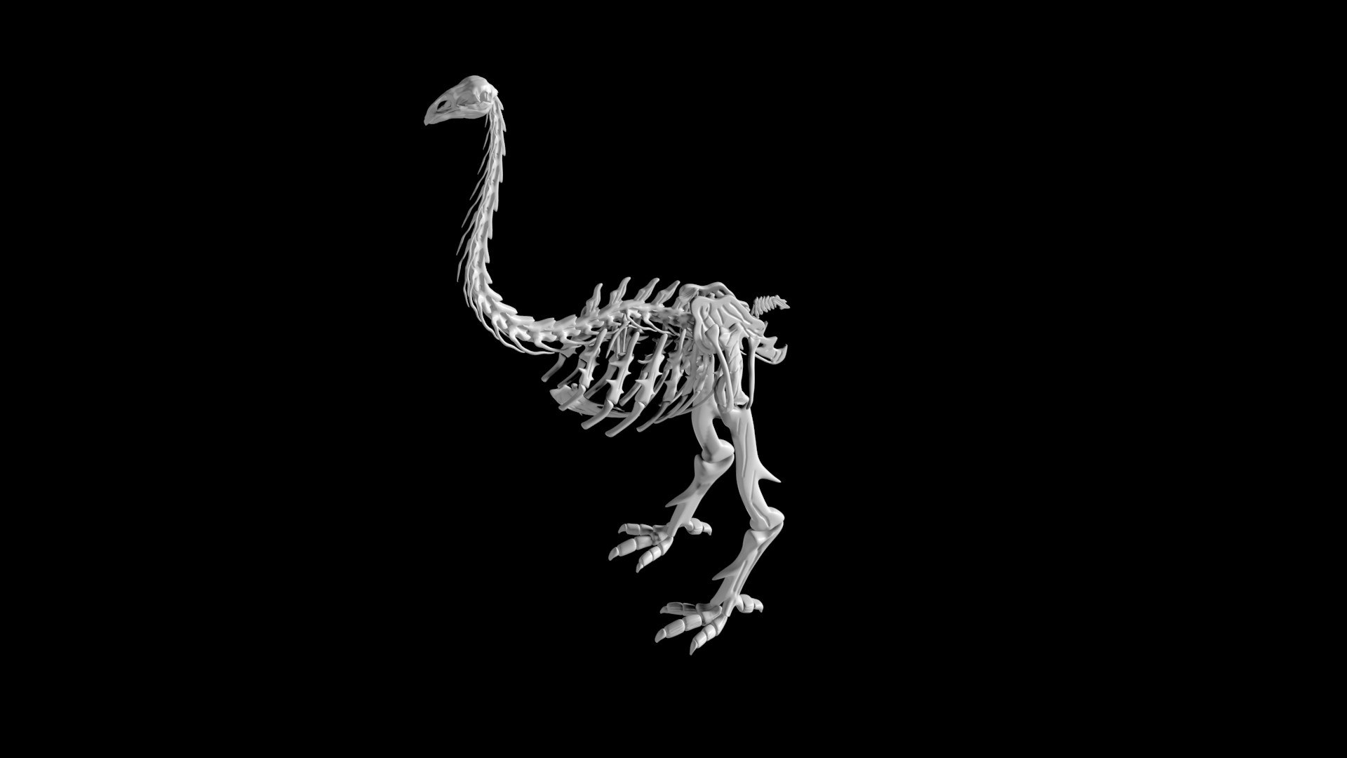 3D Model Moa Skeleton - TurboSquid 1885067