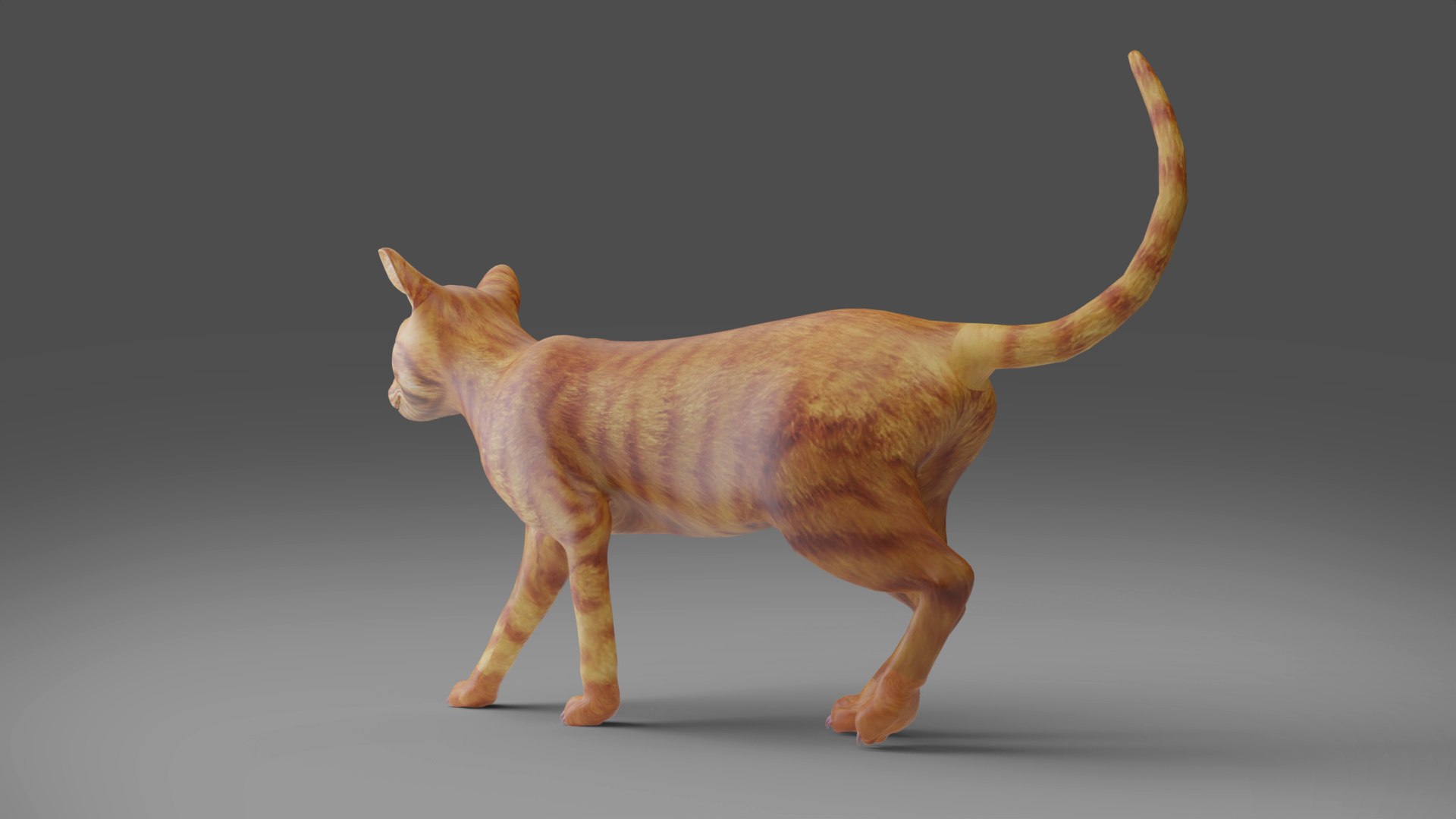 Cat Yellow V3 NO Rigged Model - TurboSquid 1982474
