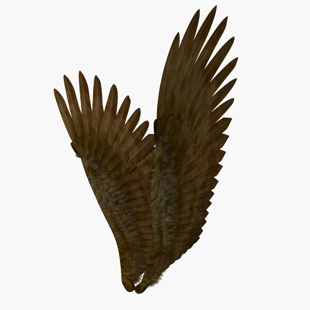 3D fantasy wings model - TurboSquid 1251233