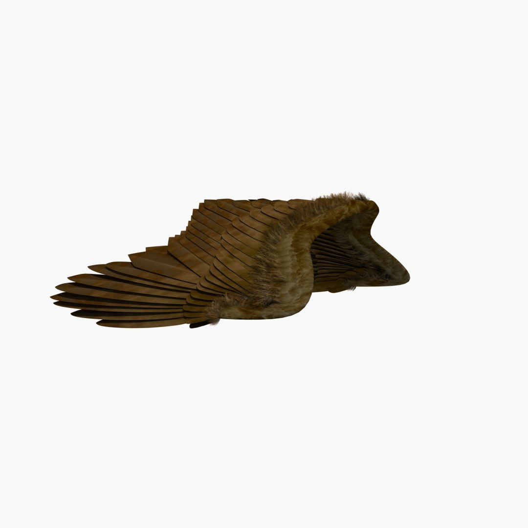 3D fantasy wings model - TurboSquid 1251233