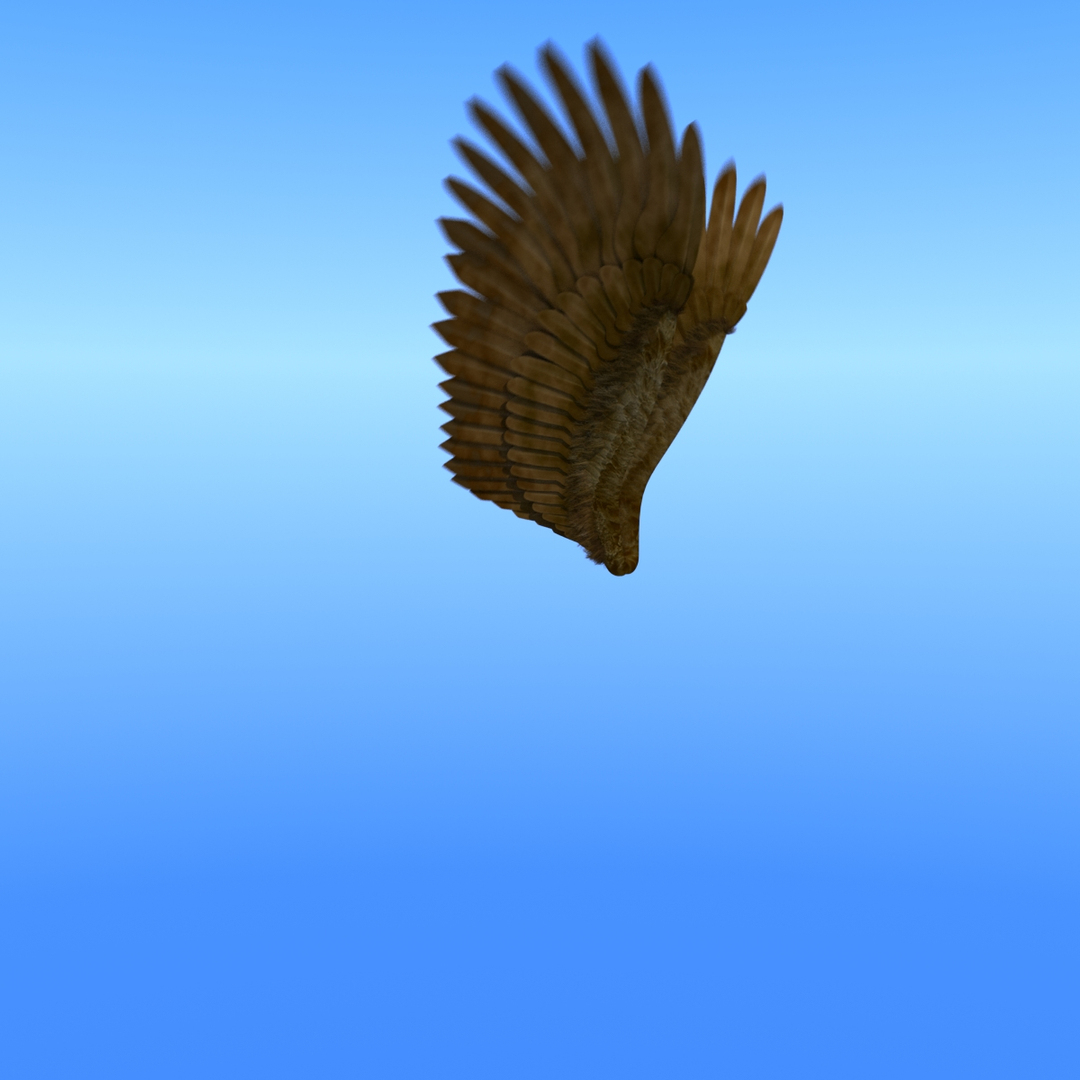 3D fantasy wings model - TurboSquid 1251233