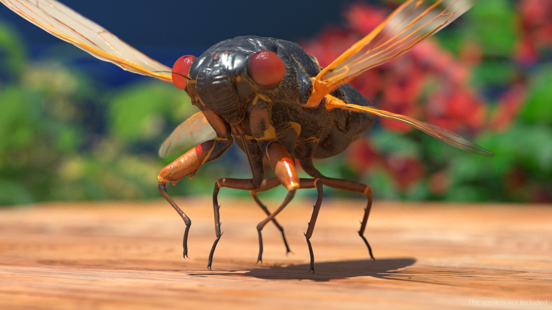 3D Pharaoh Cicada Pose Takeoff Fur Model - TurboSquid 2051638