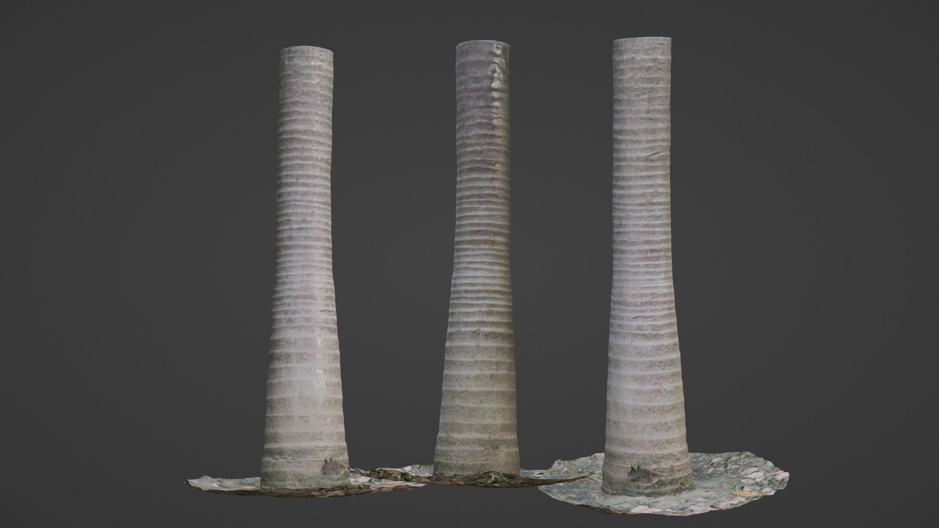 Coconut Tree 3D - TurboSquid 2332569