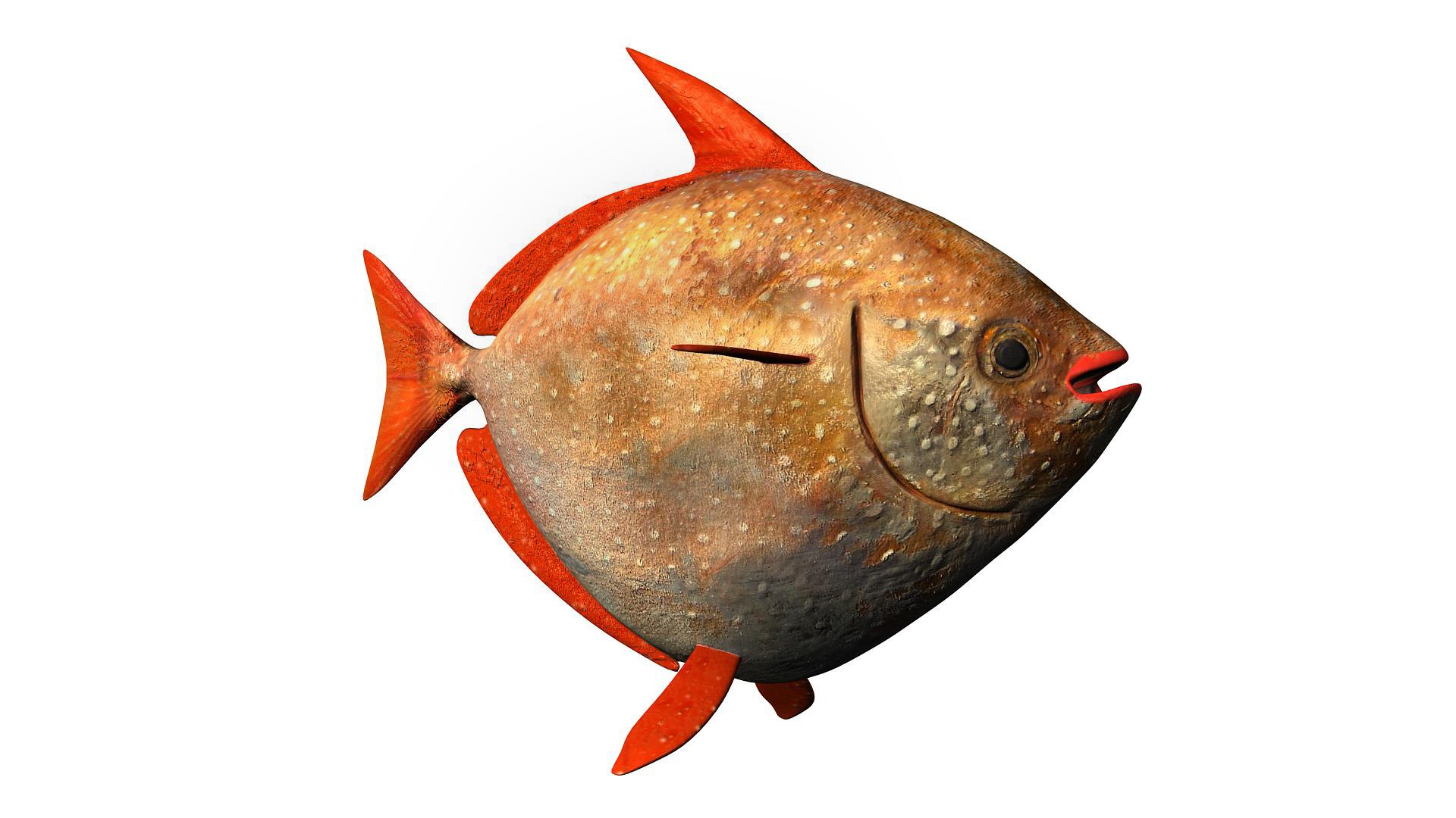 3D Opah Moonfish - TurboSquid 2018577
