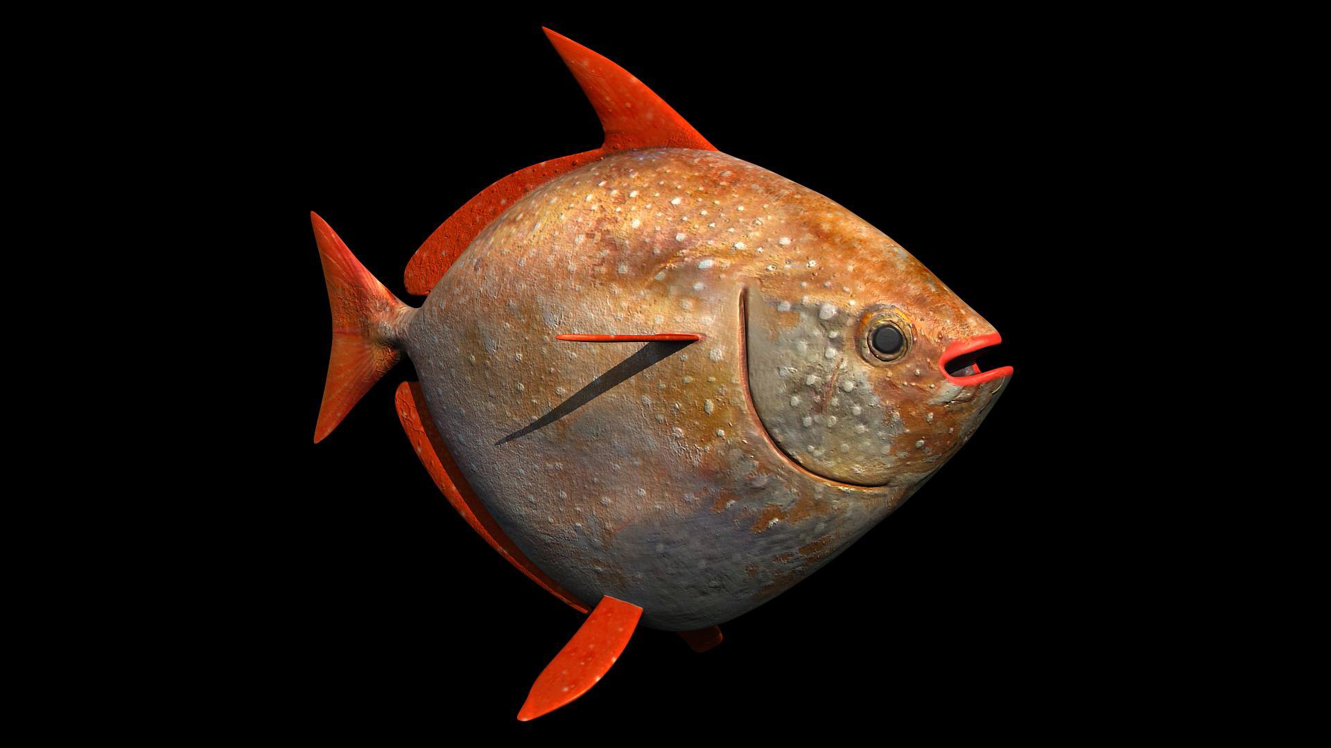 3D Opah Moonfish - TurboSquid 2018577