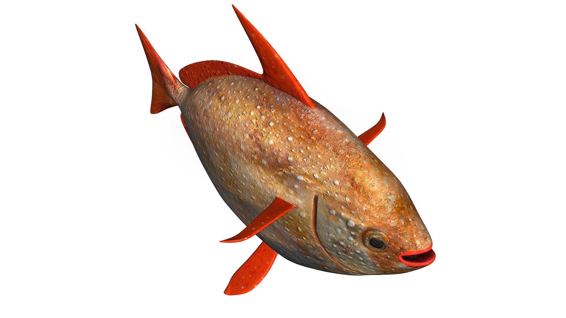 3D Opah Moonfish - TurboSquid 2018577