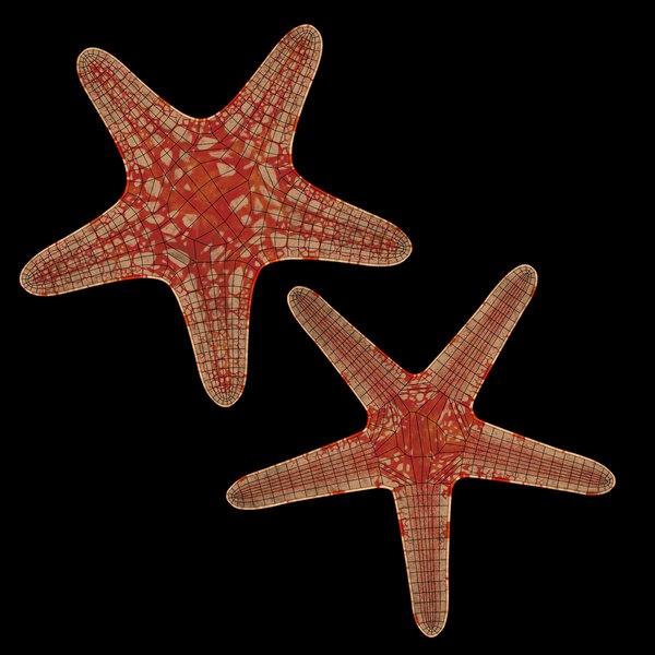3D necklace starfish model - TurboSquid 1694267