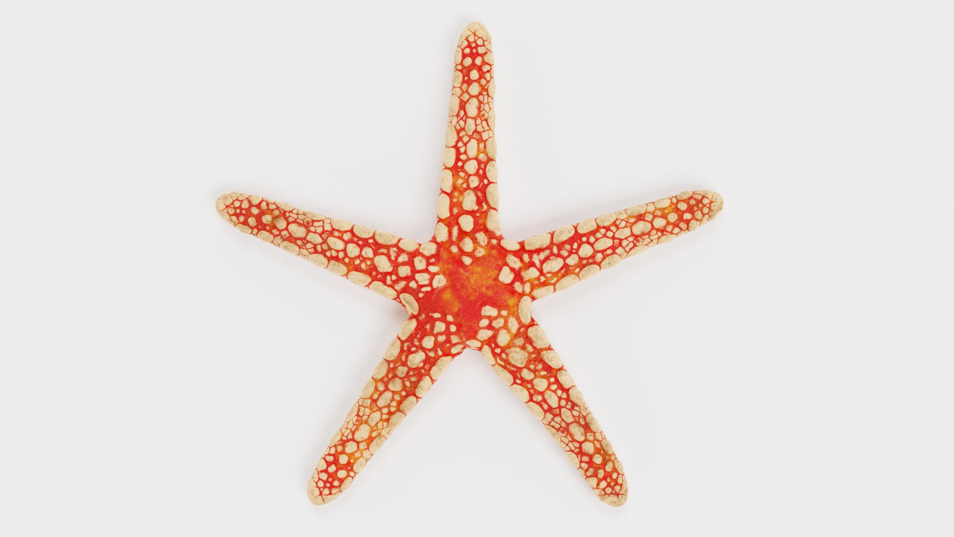 3D Necklace Starfish Model - TurboSquid 1694267