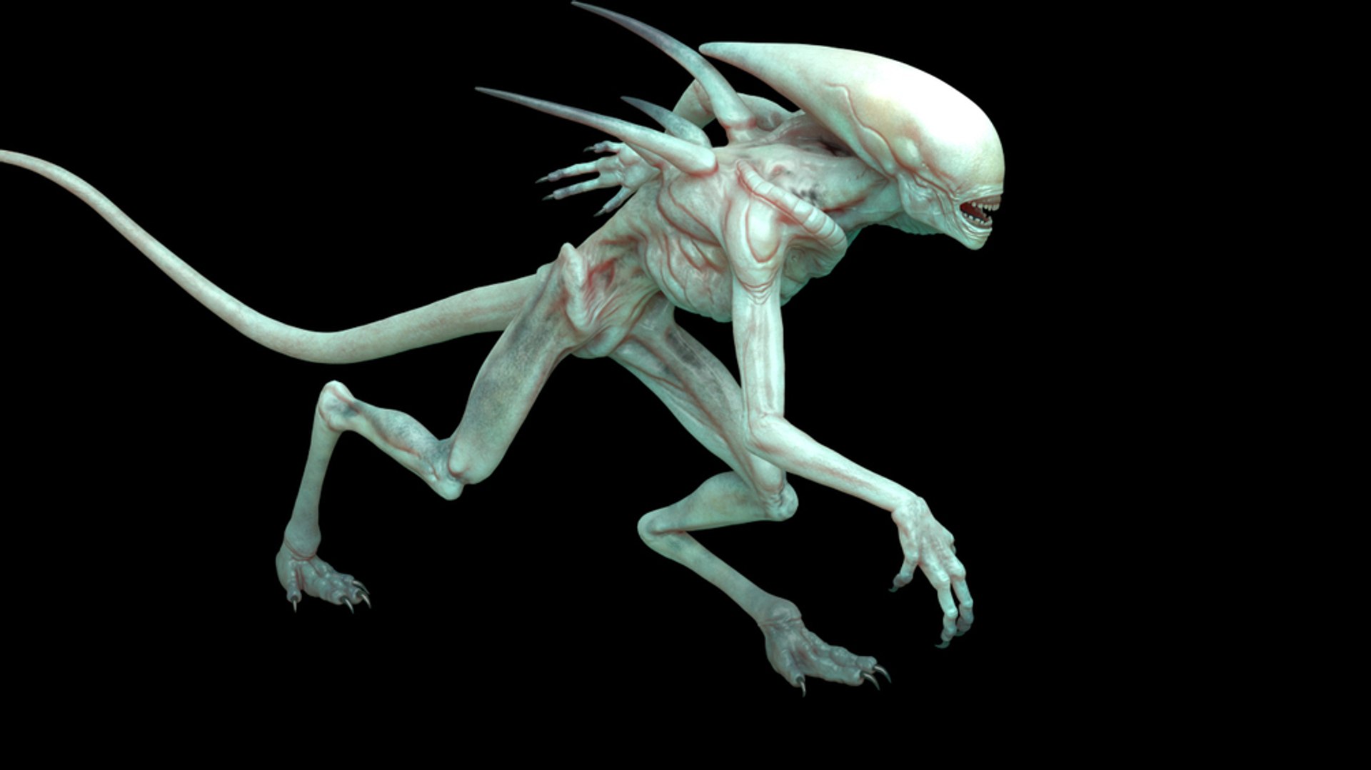 Free Alien Rig 3D - TurboSquid 1182112