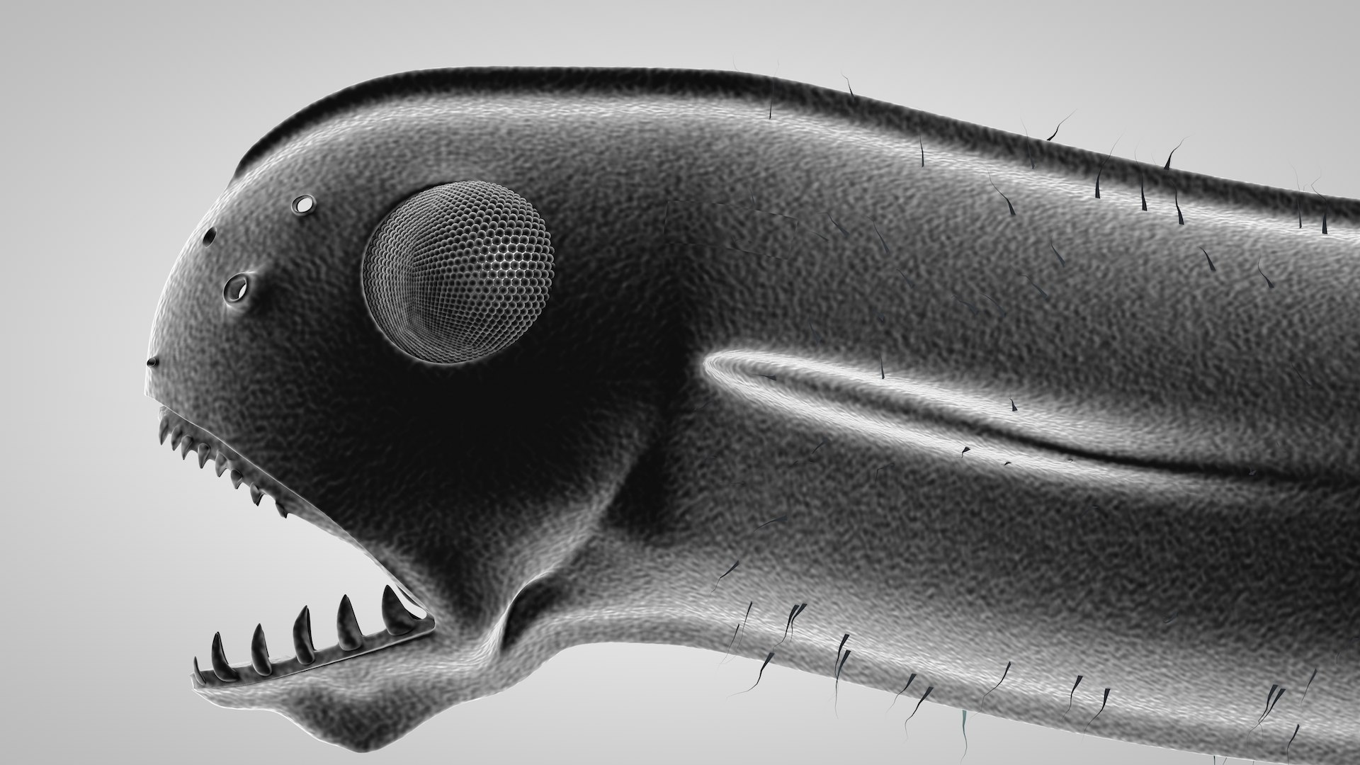 3D monster creature leviathan model - TurboSquid 1615055