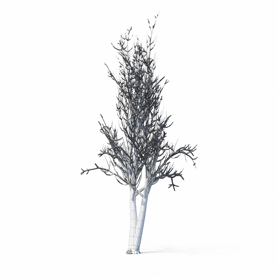 3D model winter tree 025 - TurboSquid 1233746
